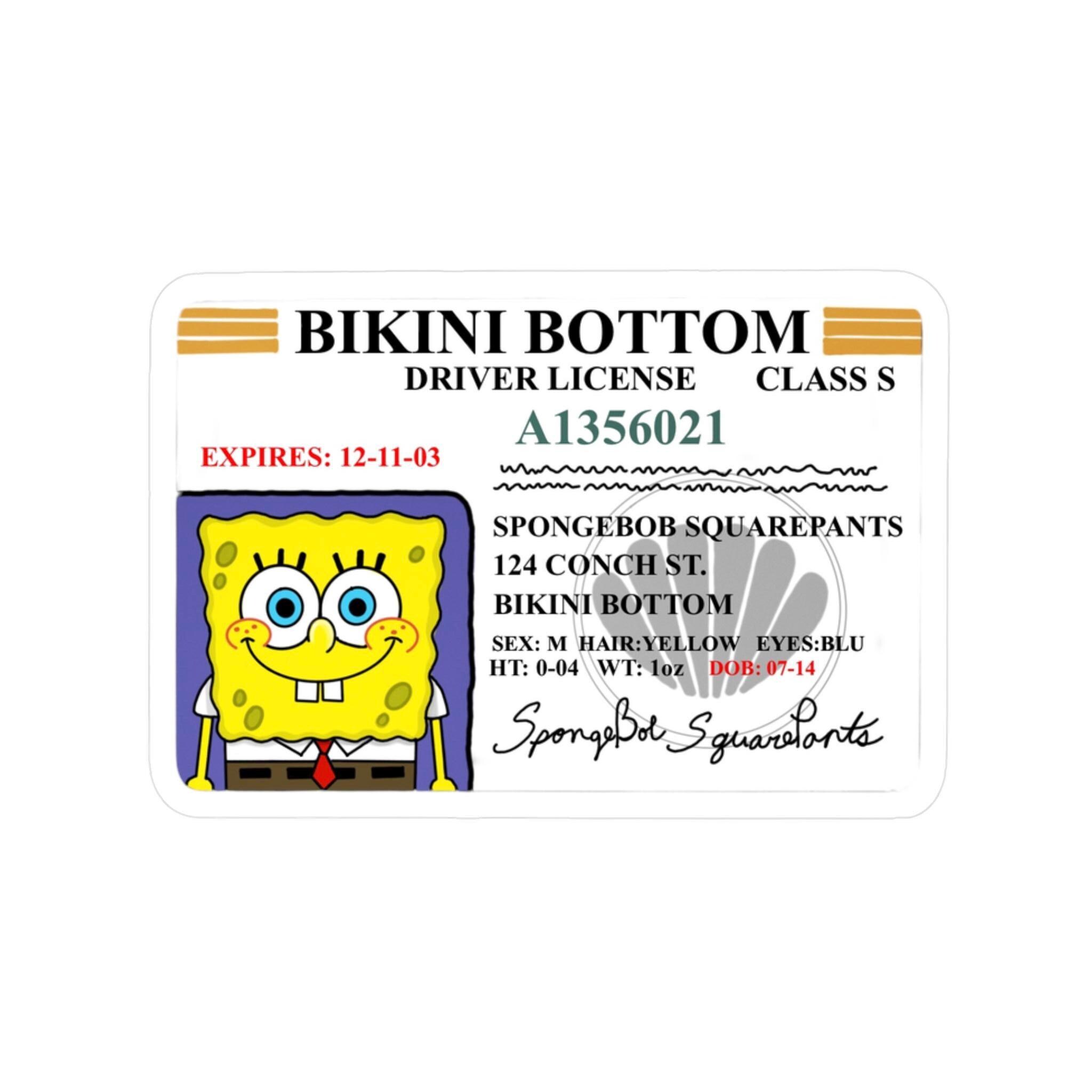 Spongebob Squarepants Sticker, Spongebob Boating License, Indoor ...
