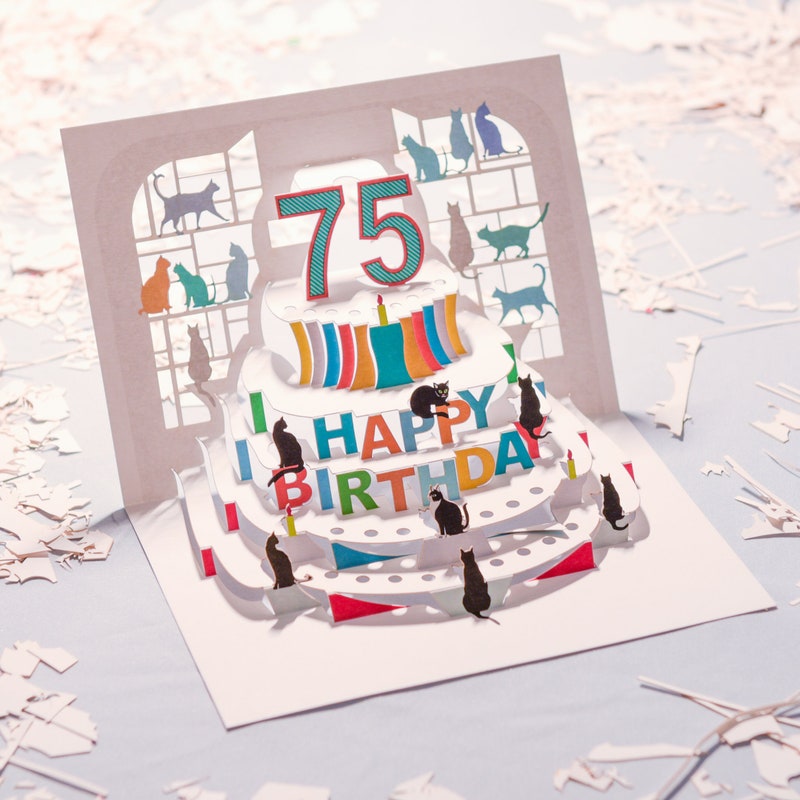 Cat 75th Birthday Card - Etsy