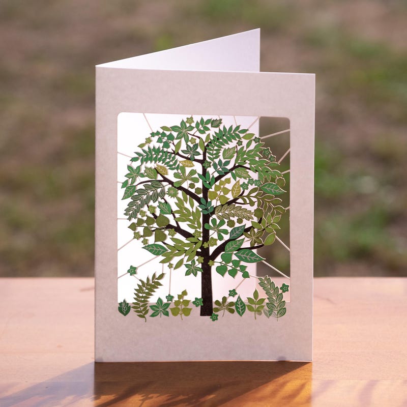 Belly Button Cleaner Uk - Etsy