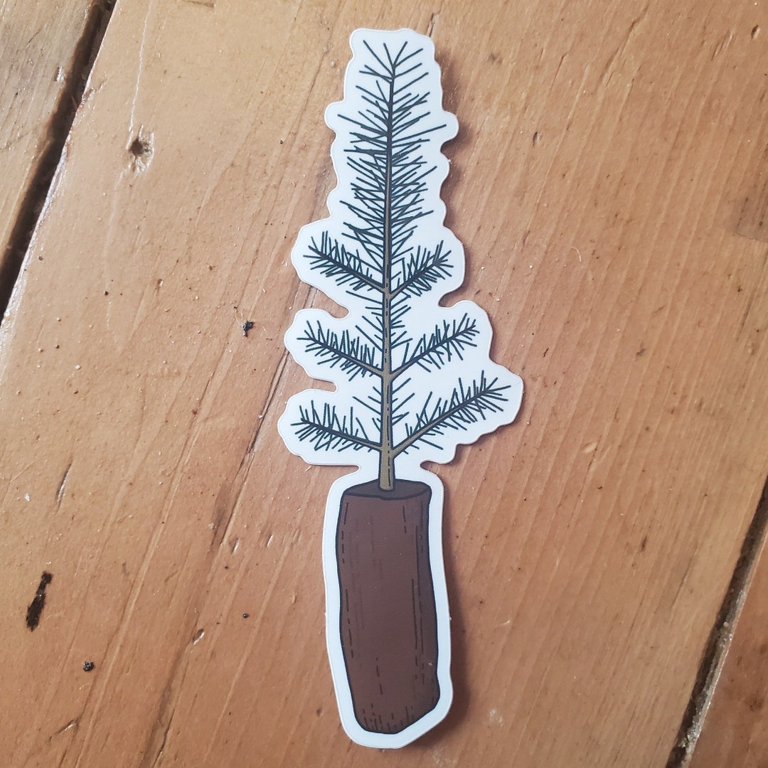 Little Spruce Sticker - Etsy