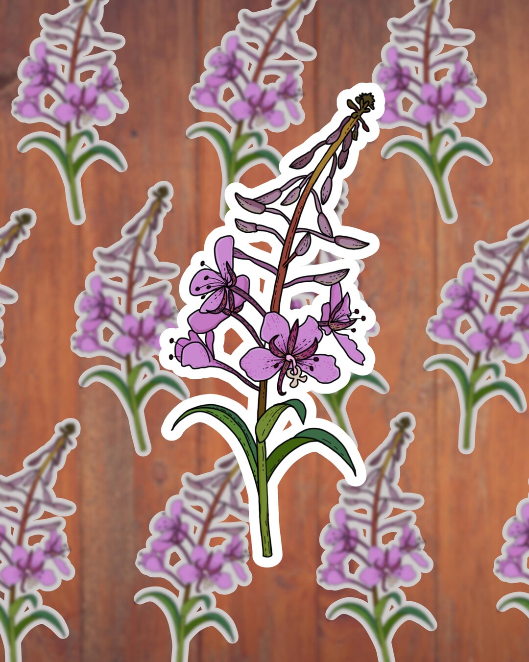 Fireweed Sticker 2.0 - Etsy