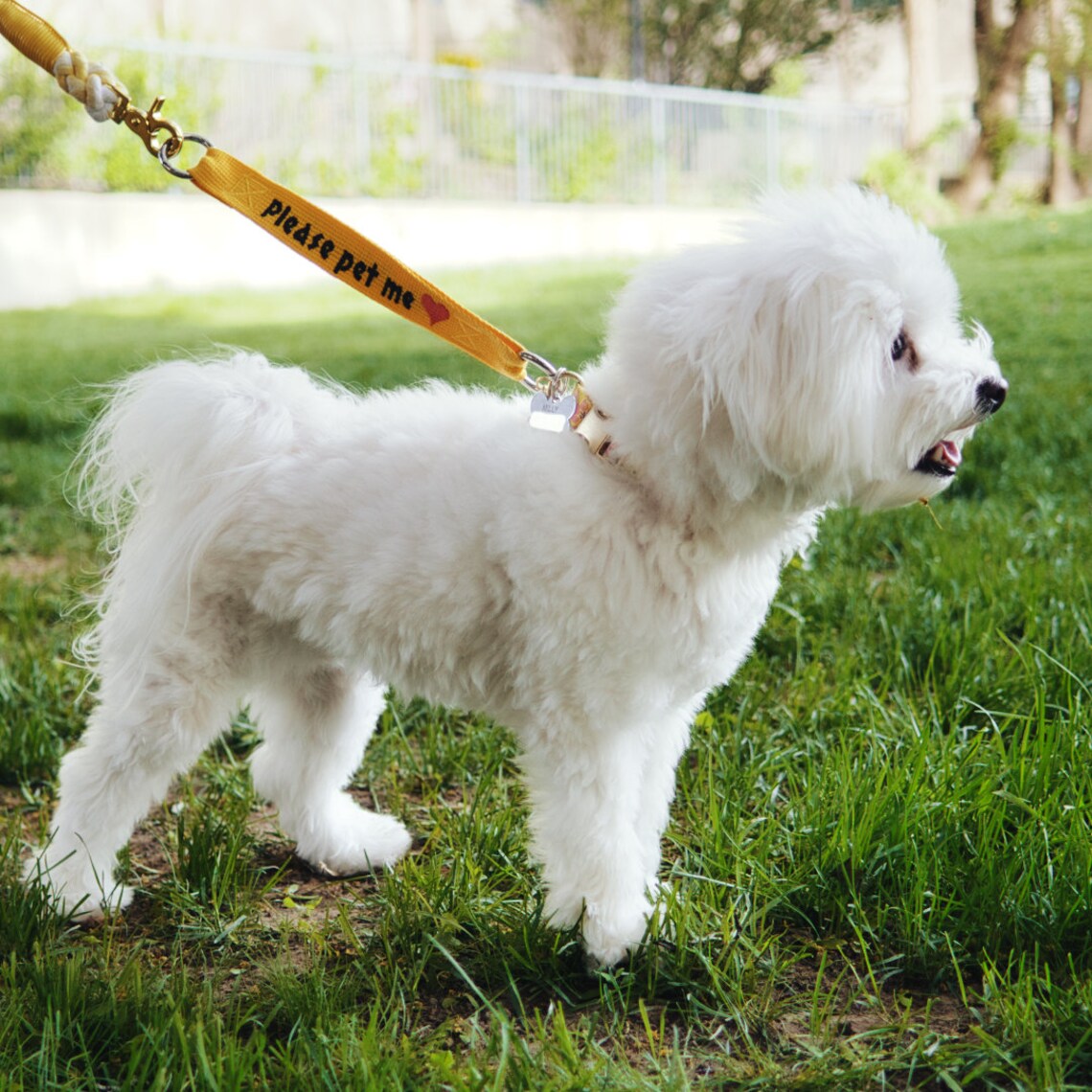Embroidered Dog Leash Tag: Personalized Pet ID, Handmade in Canada - Etsy