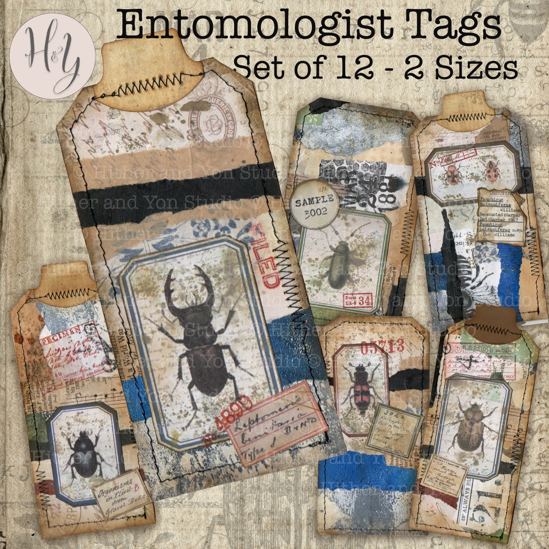 Entomology Tags Digital Set of Tags for Entomologist Theme Junk ...