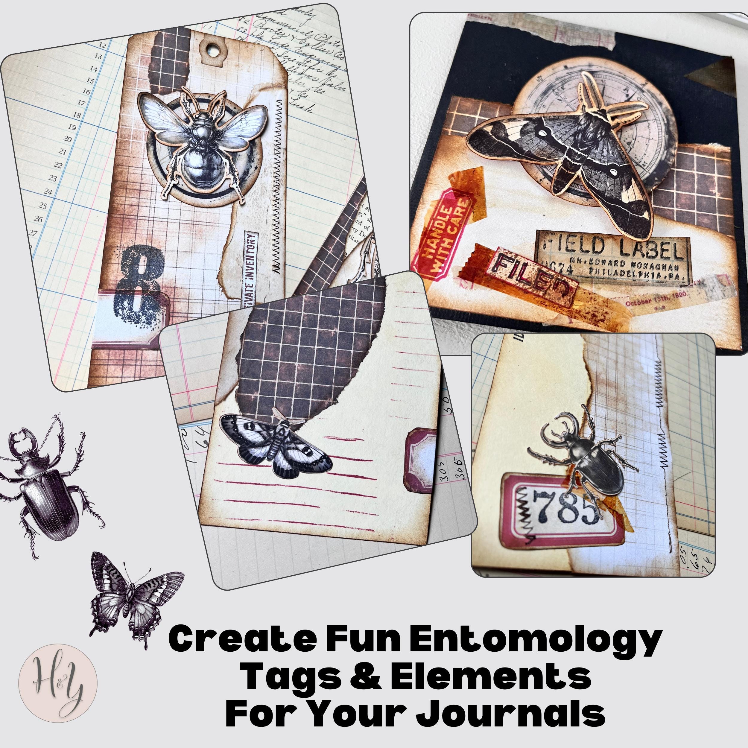 Entomology Kit, Fussy Cut Bugs and More to Create Fun, Entomology Tags ...