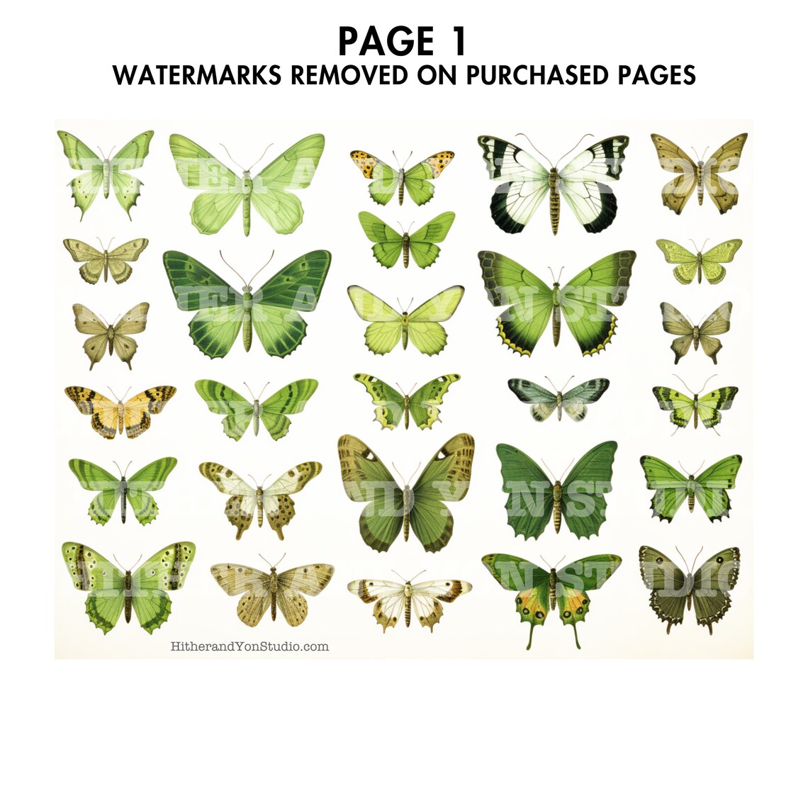 Fussy Cut Butterflies and Moths for Paper Crafting Collage - Etsy