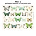 Fussy Cut Butterflies and Moths for Paper Crafting, Collage, Scrapbook ...