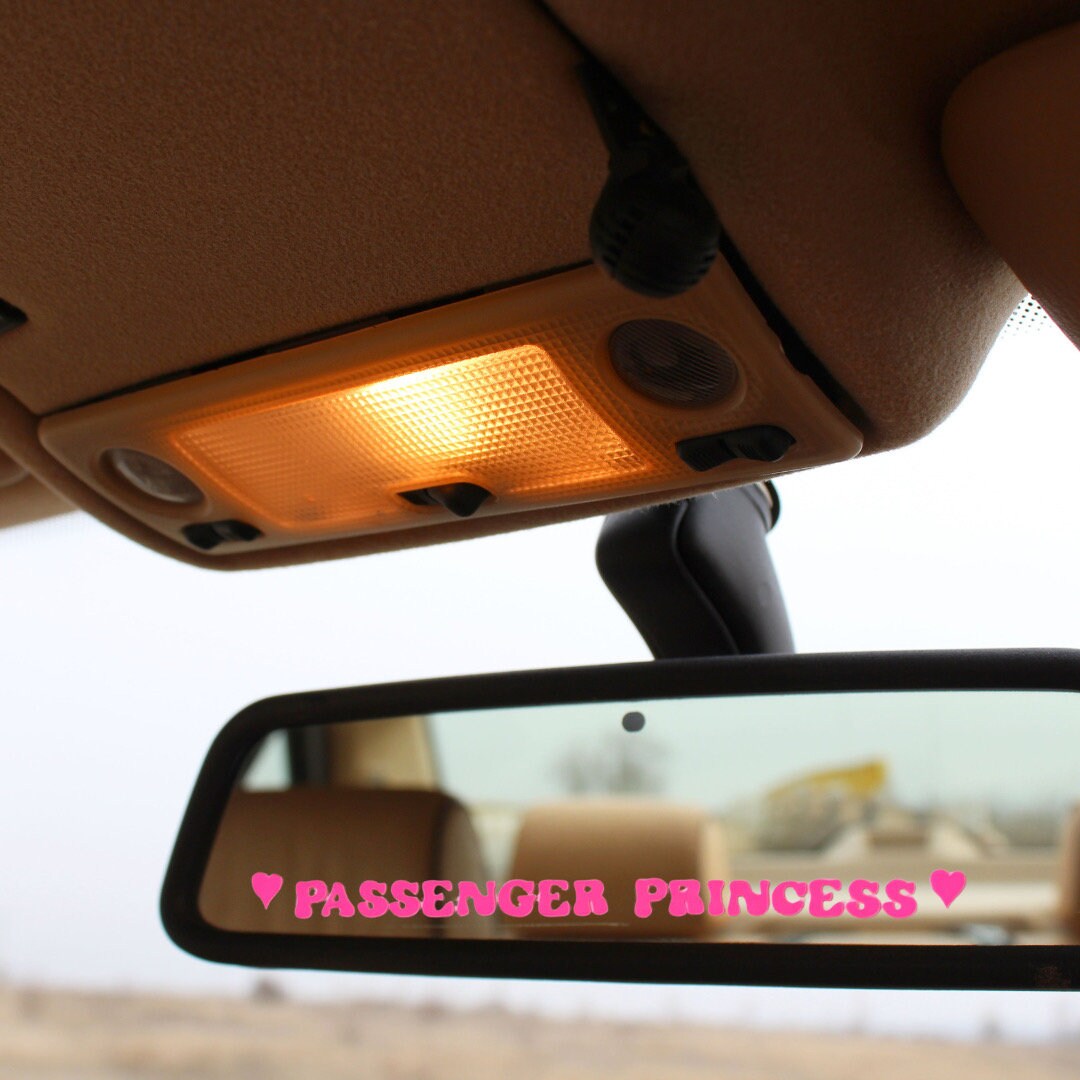 Passenger Princess Vinyl Decal Bundle/ Includes 4 Vinyls - Etsy