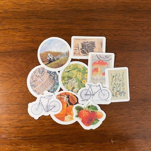 10pc Cottagecore Sticker Pack - Etsy