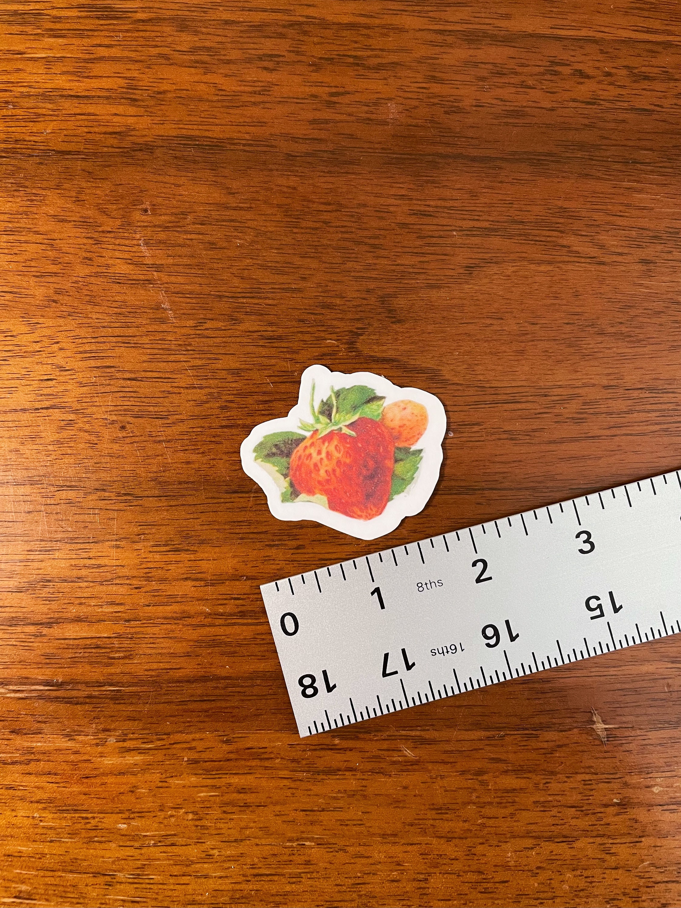 10pc Cottagecore Sticker Pack - Etsy