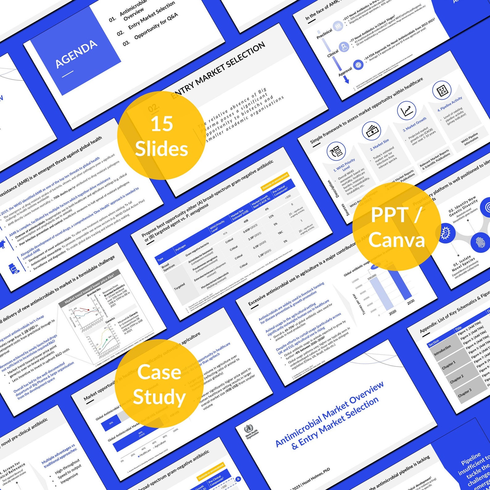 Modern Academic Slide Template Science Job Interview Presentation ...