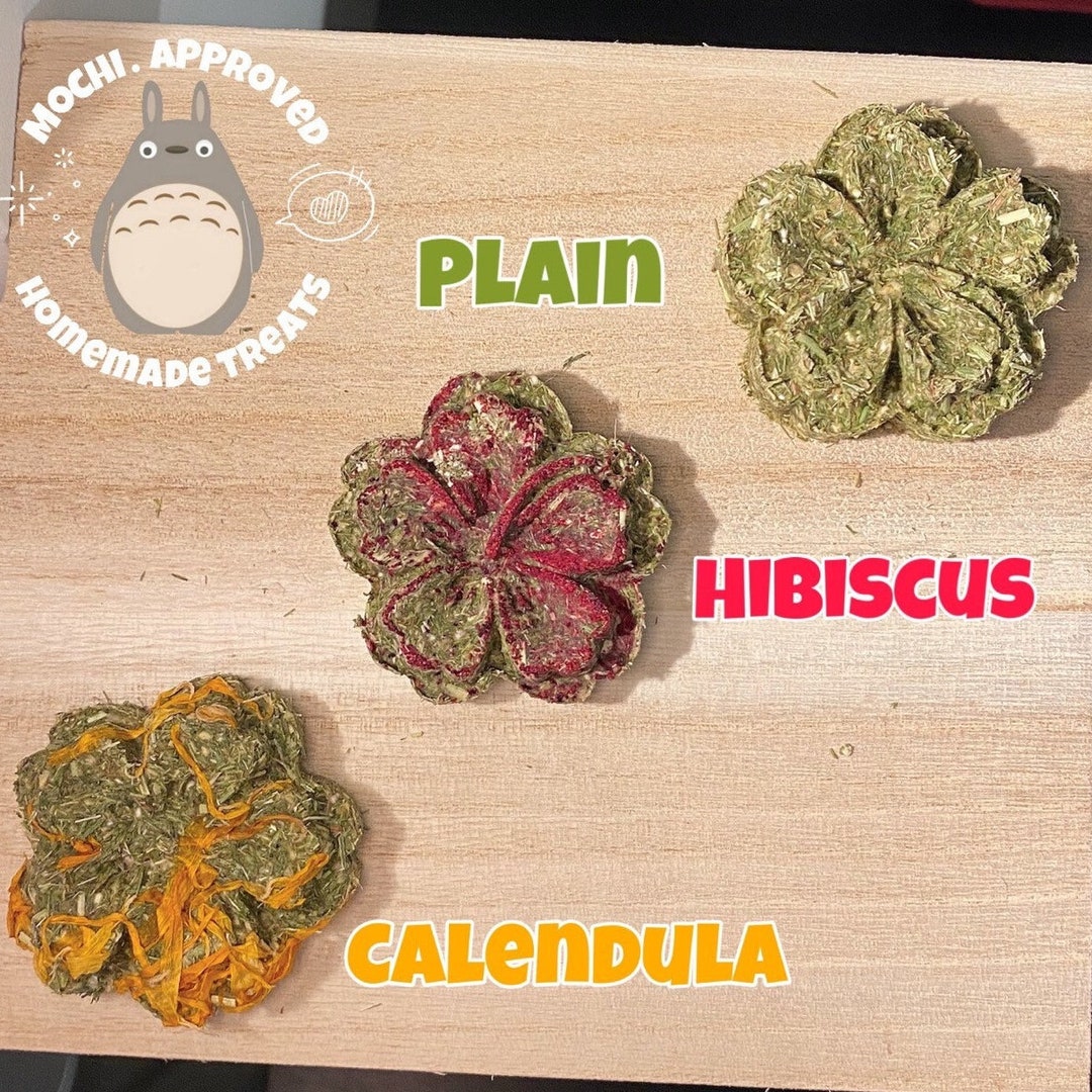 Hibiscus & Calendula Chinchilla Cookies - Etsy