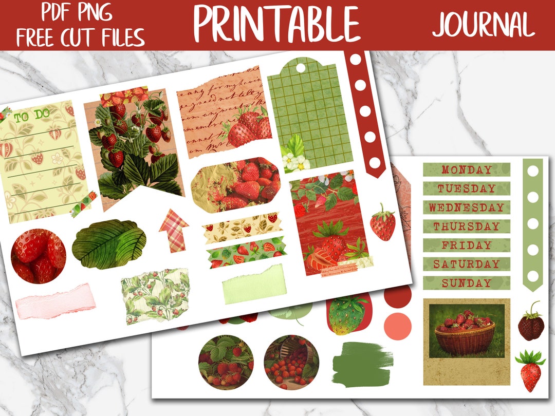 Strawberry | Bullet Journal Printable Stickers, Fruit Diary Digital ...