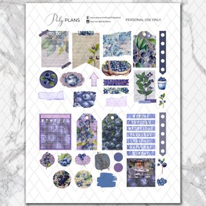 Blueberries | Bullet Journal Printable Stickers, Fruit Diary Digital ...