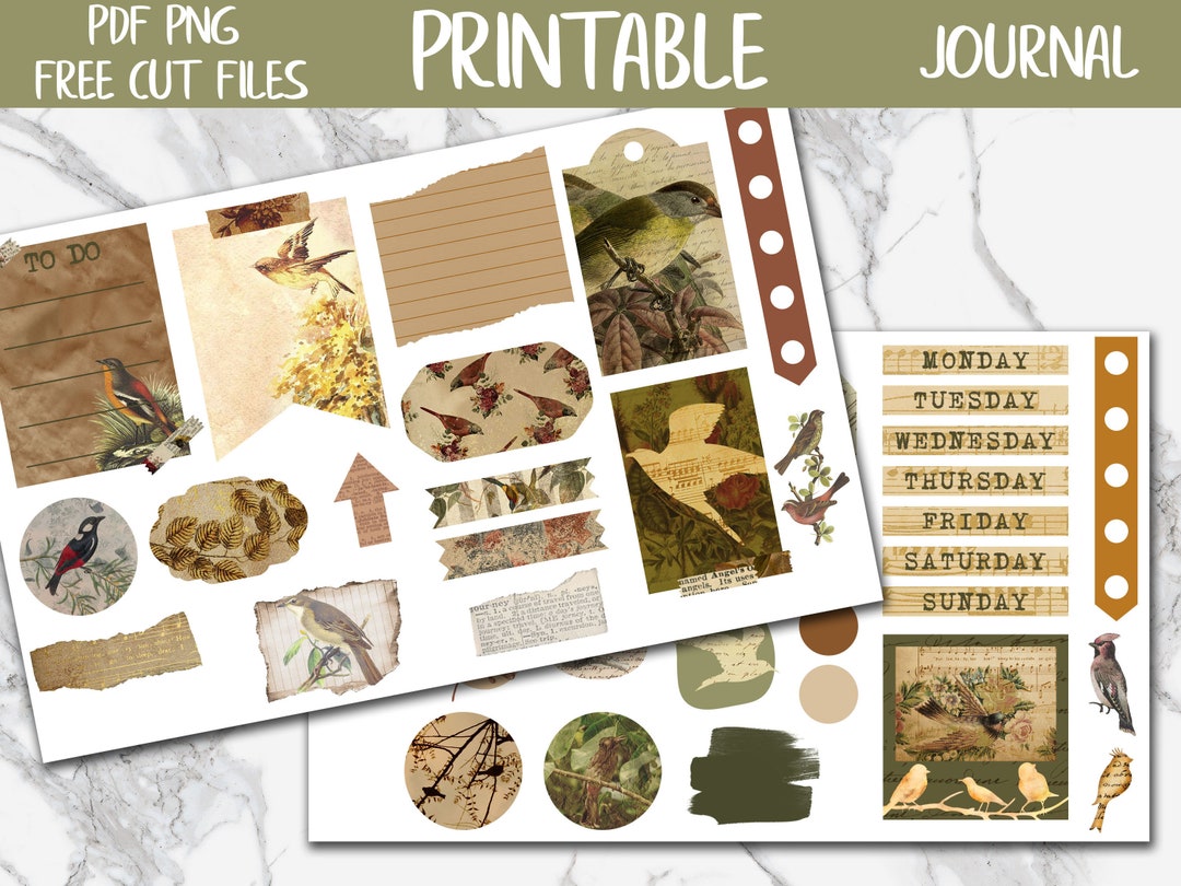 Birds | Bullet Journal Printable Stickers, Vintage Birds Diary Digital ...
