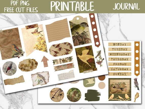 Birds Bullet Journal Printable Stickers Vintage Birds Diary - Etsy