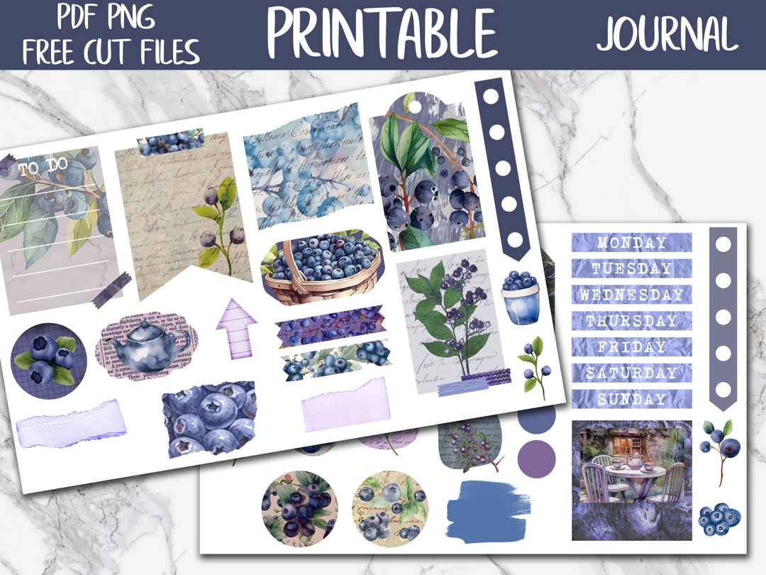 Blueberries | Bullet Journal Printable Stickers, Fruit Diary Digital ...