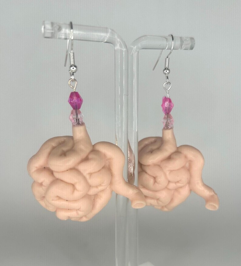 Cute Funny Anatomy Intestine Sciene Earrings - Etsy