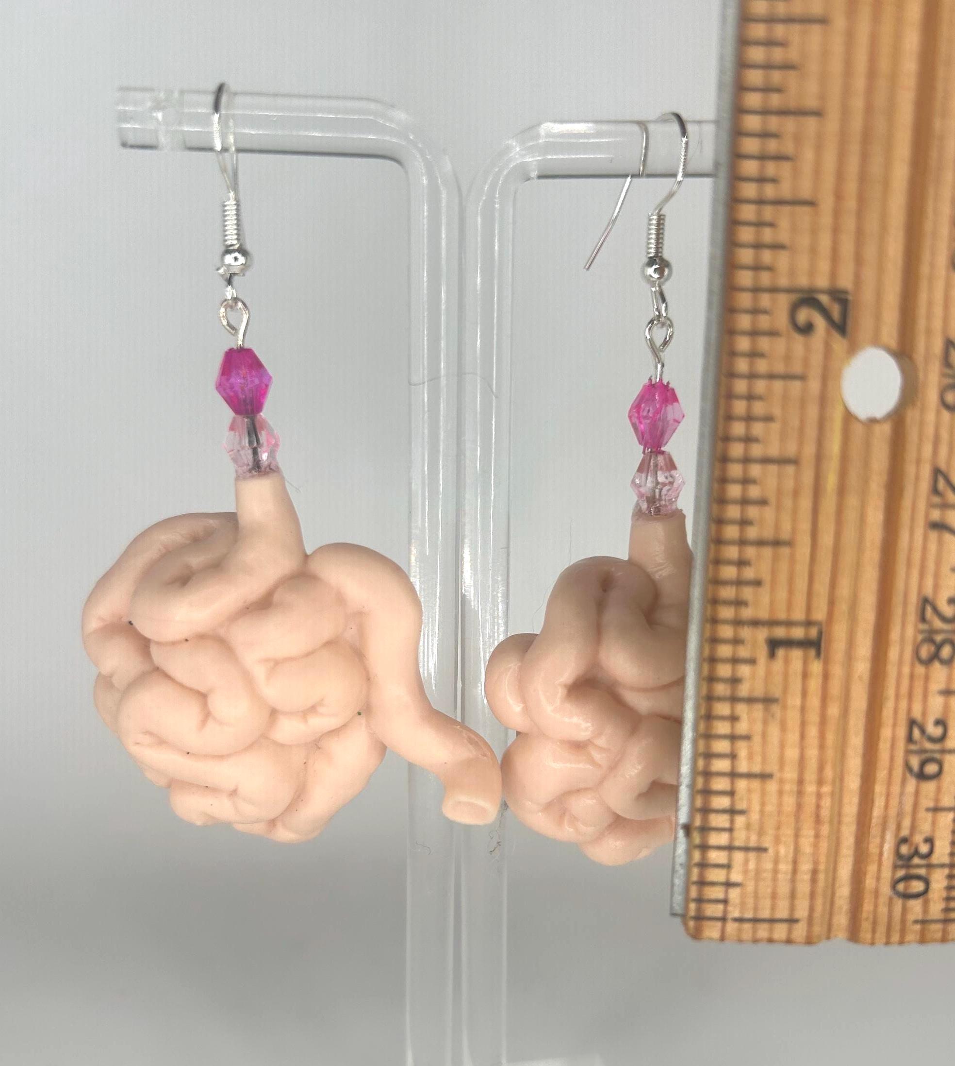 Cute Funny Anatomy Intestine Sciene Earrings - Etsy