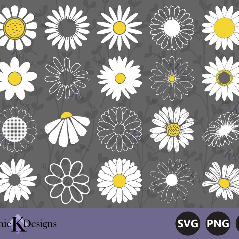 Daisy Svg - Etsy