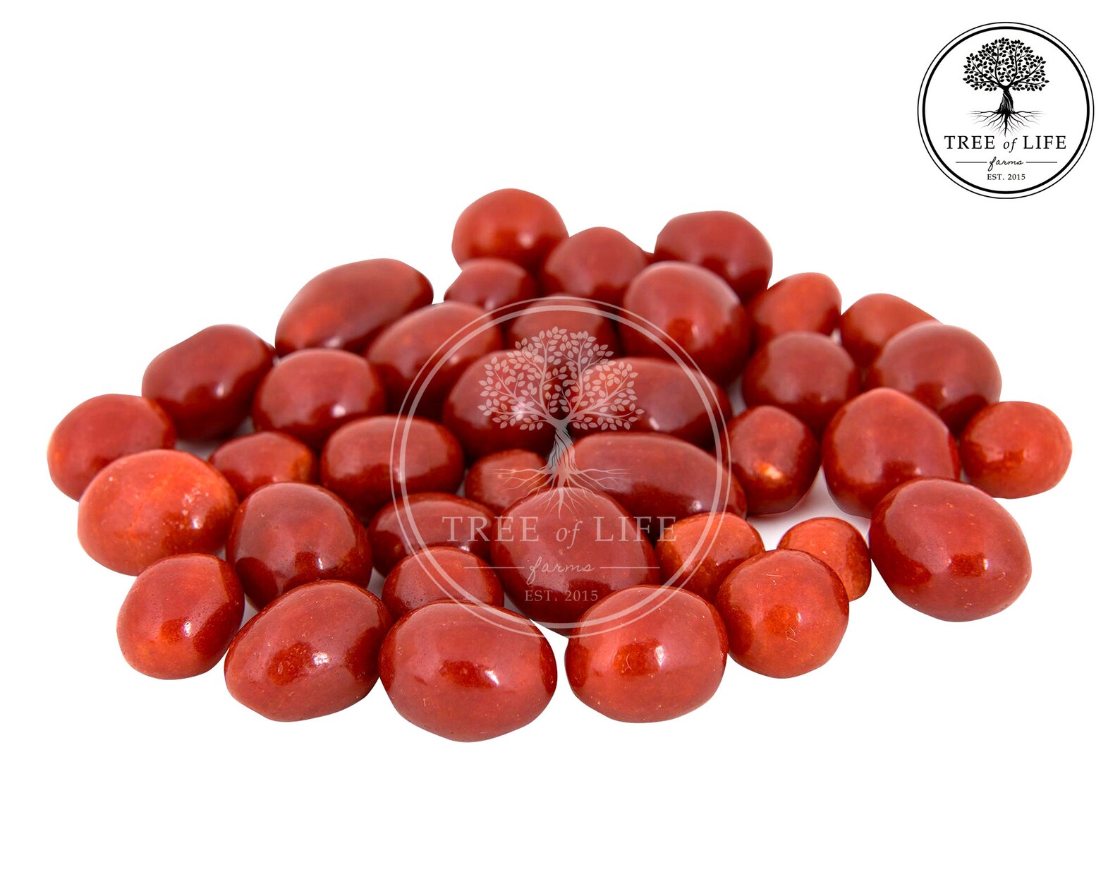 Boston Baked Beans Vintage Candy Candy Peanuts Candied Nuts - Etsy