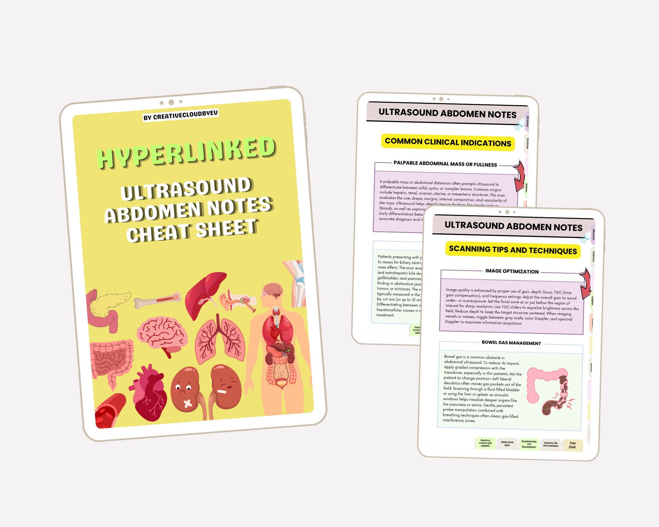 Ultrasound Abdomen Study Notes Bundle: Sonography Student Guide ...
