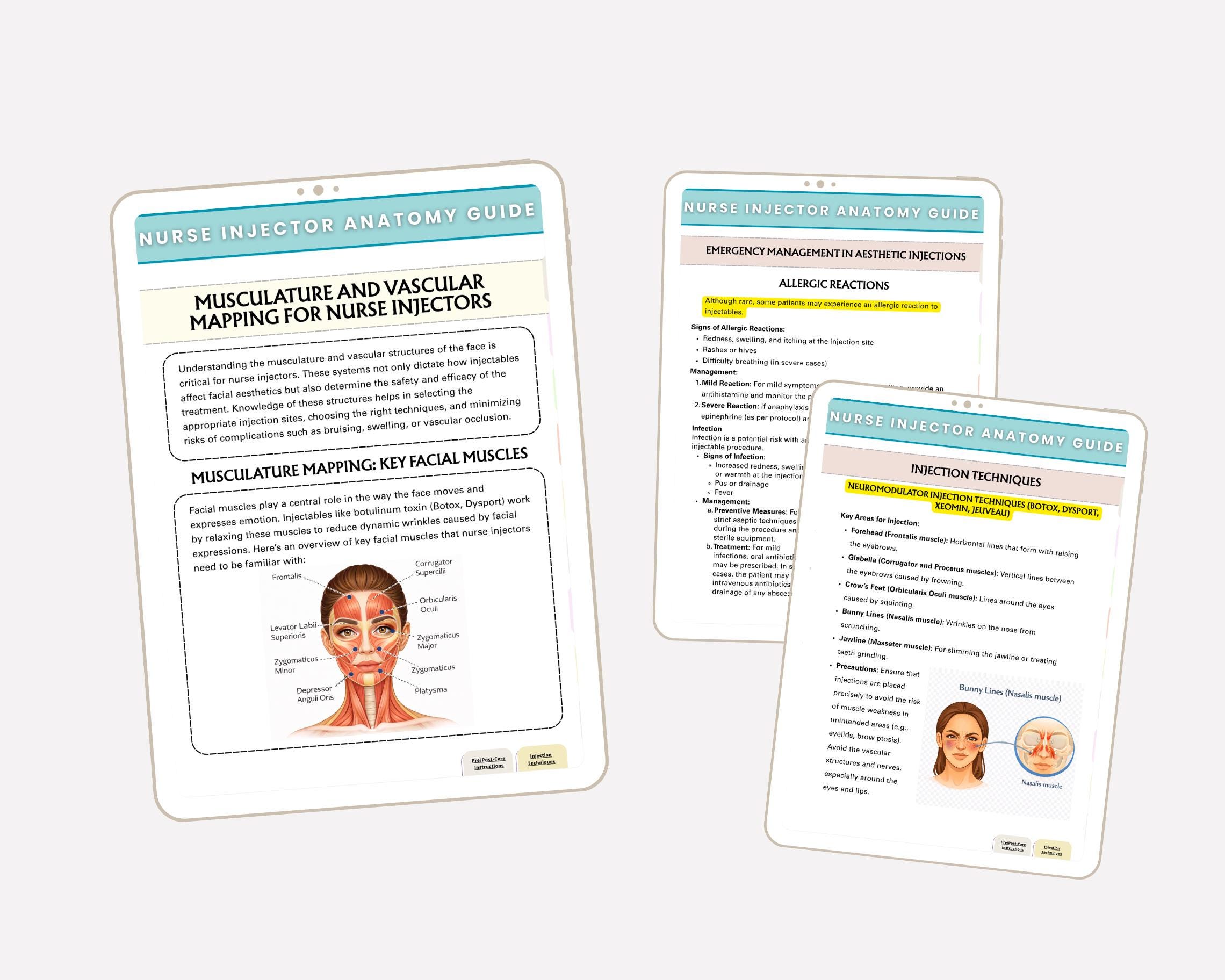 Facial Nurse Injector Anatomy Guide, Injection Techniques Hyperlinked ...