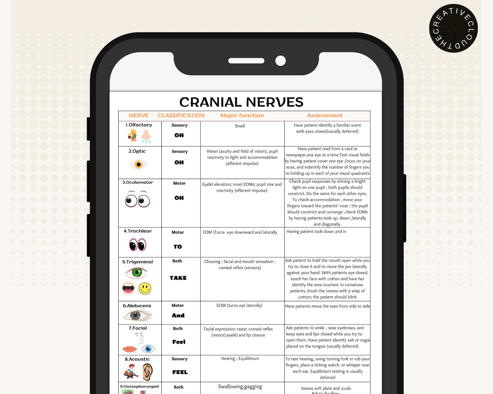 Cranial Nerves Chart: Nursing Student Study Guide (PDF & PNG) - Etsy