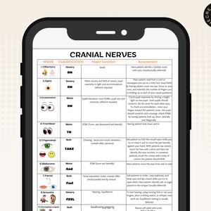 Cranial Nerves Chart: Nursing Student Study Guide (PDF & PNG) - Etsy