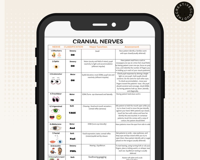 Cranial Nerves Chart: Nursing Student Study Guide (PDF & PNG) - Etsy