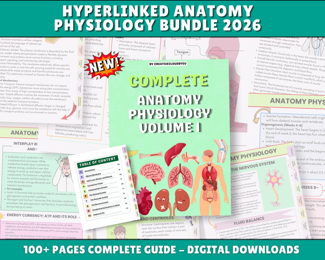 Anatomy and Physiology Study Guide: Hyperlinked, All Body Systems, 100 ...