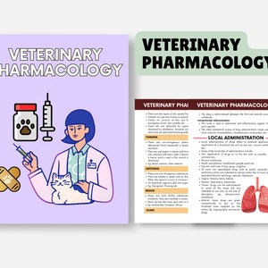 Vet Tech Notes Bundle: VTNE Prep, Vet Med Study Guide (digital Download ...