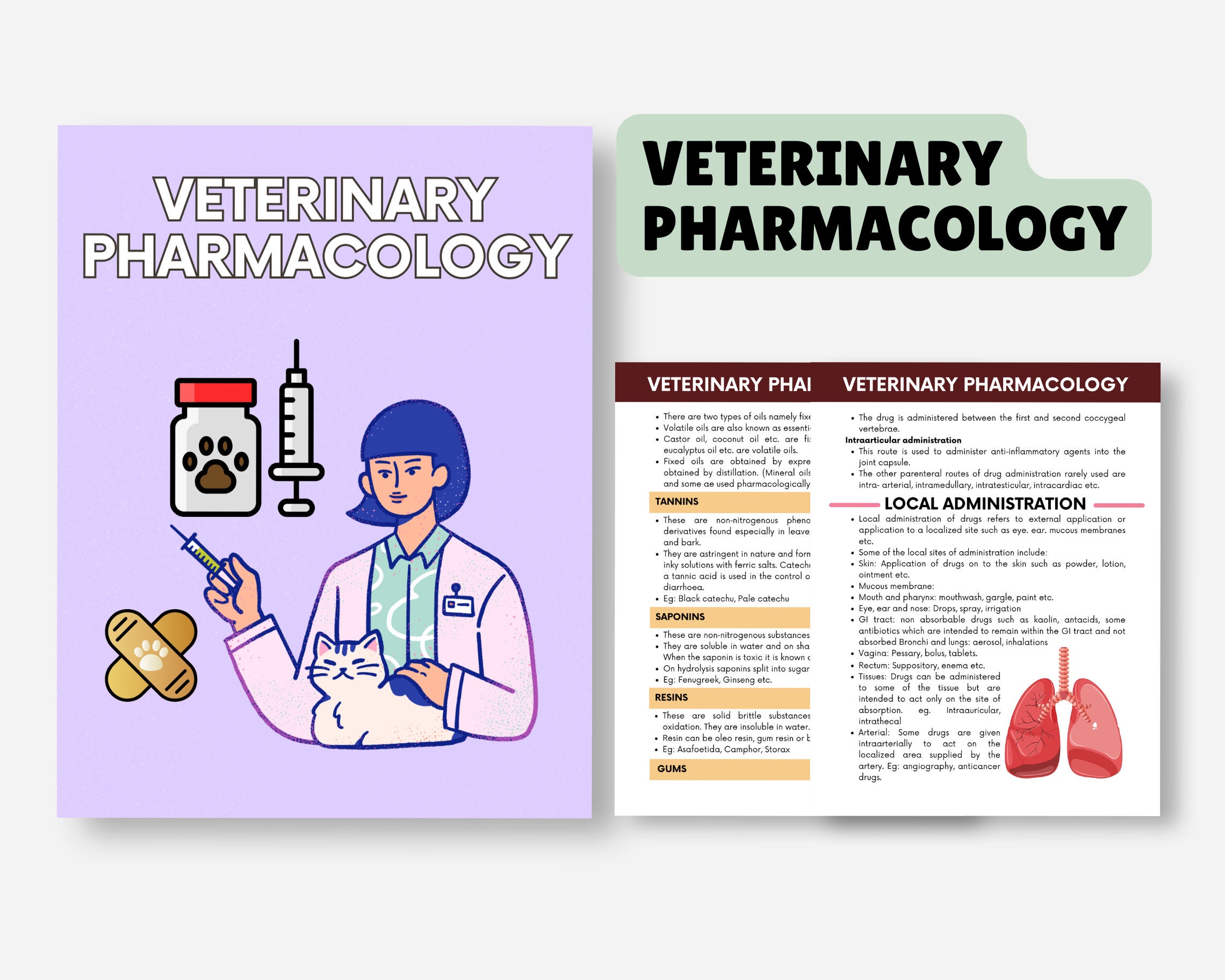 Vet Tech Notes Bundle: VTNE Prep, Vet Med Study Guide (digital Download ...