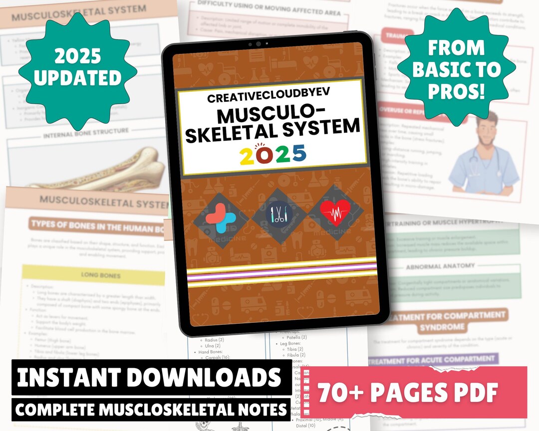 Musculoskeletal System Nursing Study Guide, Perfect for Nursing and ...