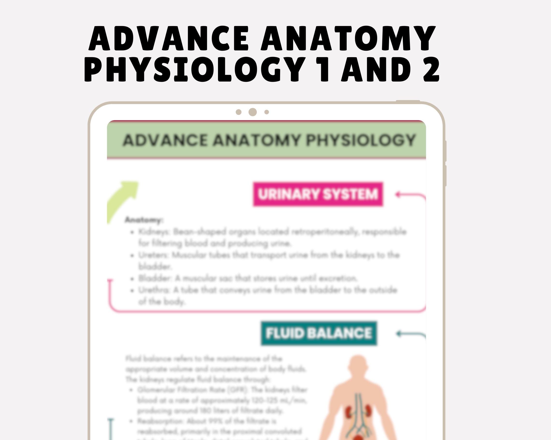 Complete Anatomy Physiology I & II 200+ Pages, Anatomy Study Guide ...