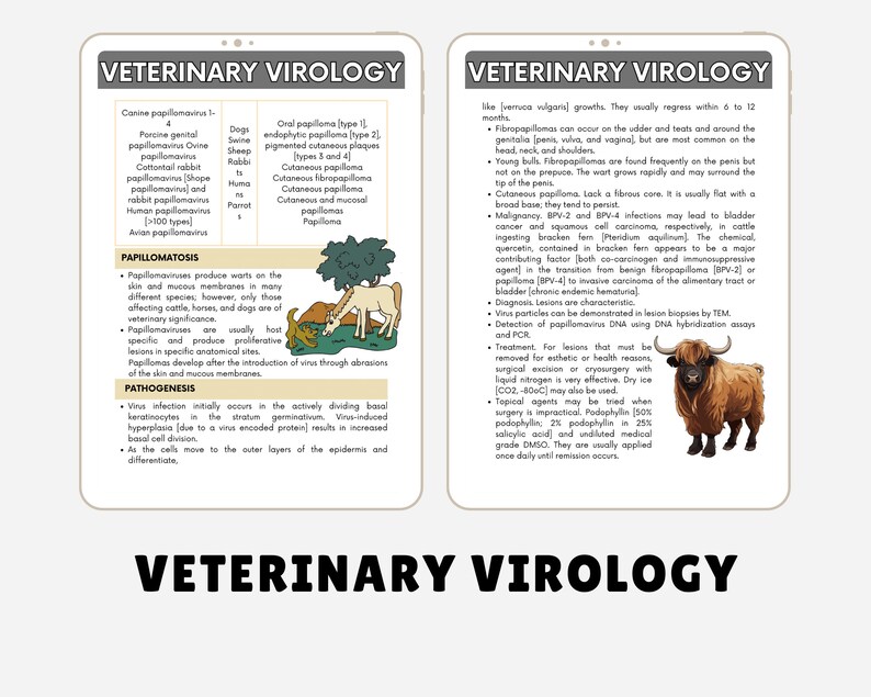 BEST SELLING 240 Pages Vet Tech Notes, Vet Med Study Guide, VTNE Prep ...