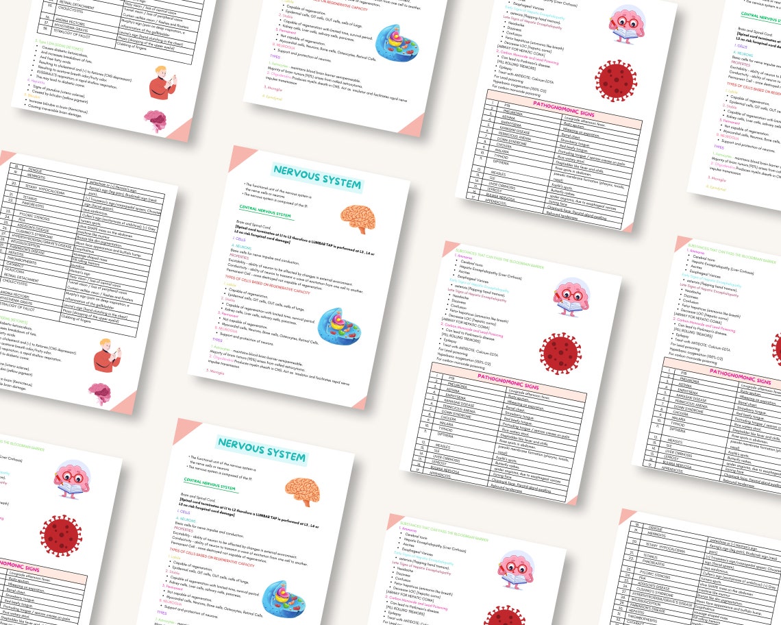 Nervous System Notes, Nursing Bundle, Nursing Notes, Med Surg Study ...