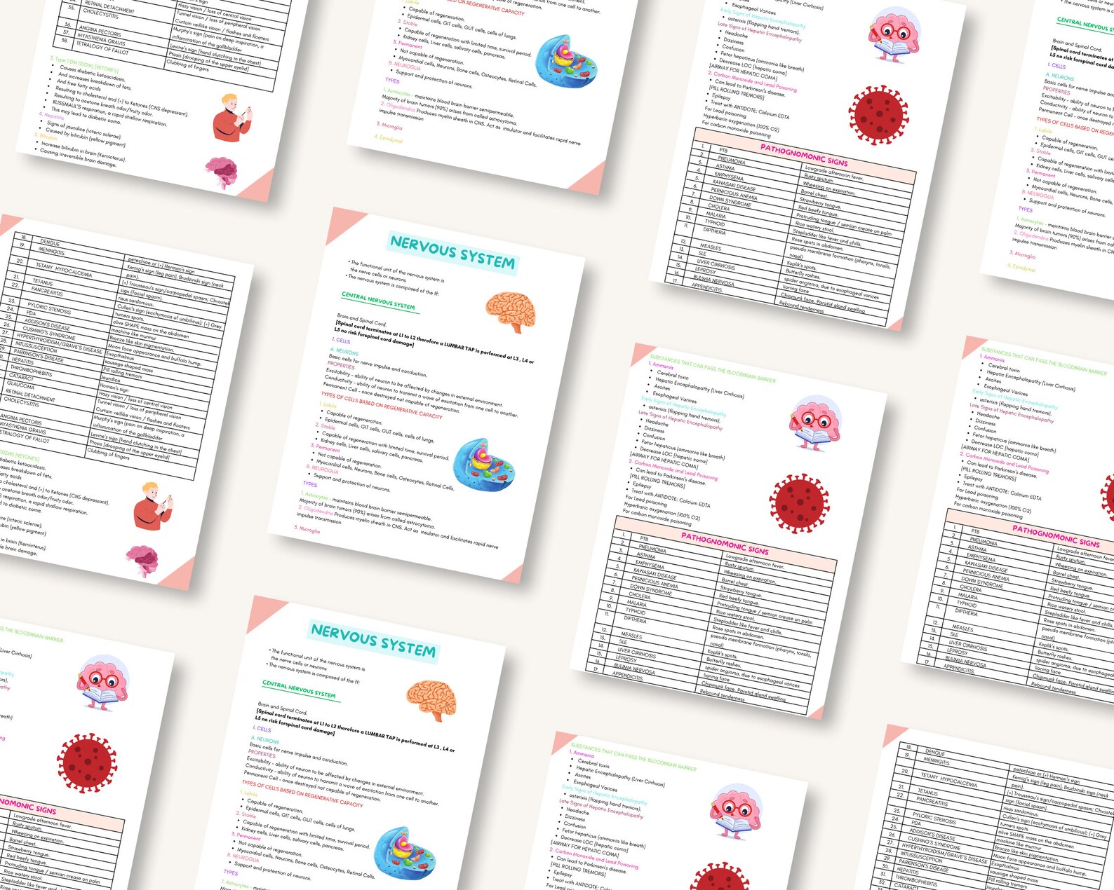 Nervous System Notes, Nursing Bundle, Nursing Notes, Med Surg Study ...