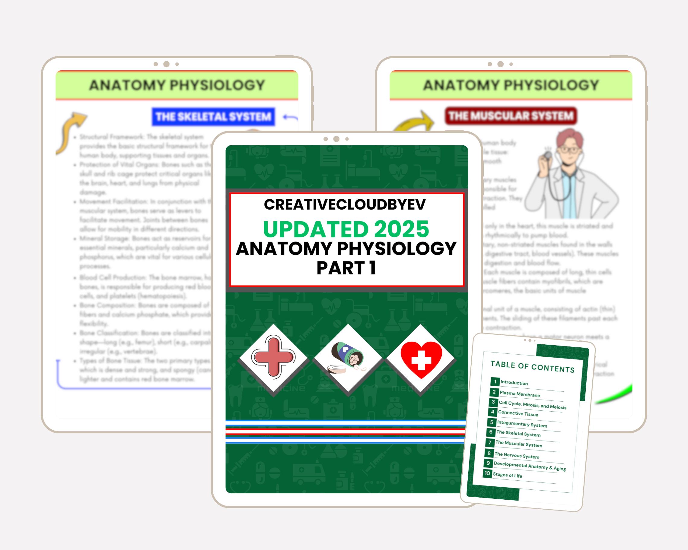 Complete Anatomy Physiology I & II 200 Pages, Anatomy Study Guide ...