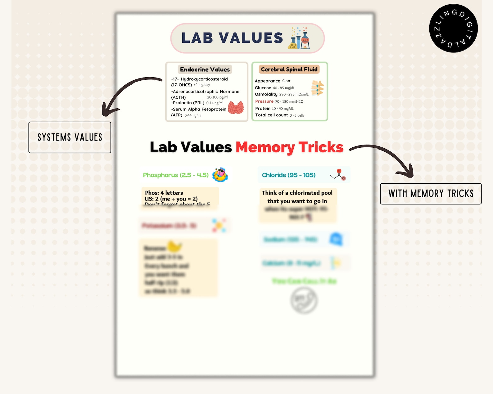 Lab Value Template - Nursing Cheat Sheet - Lab Values - Lab Value ...
