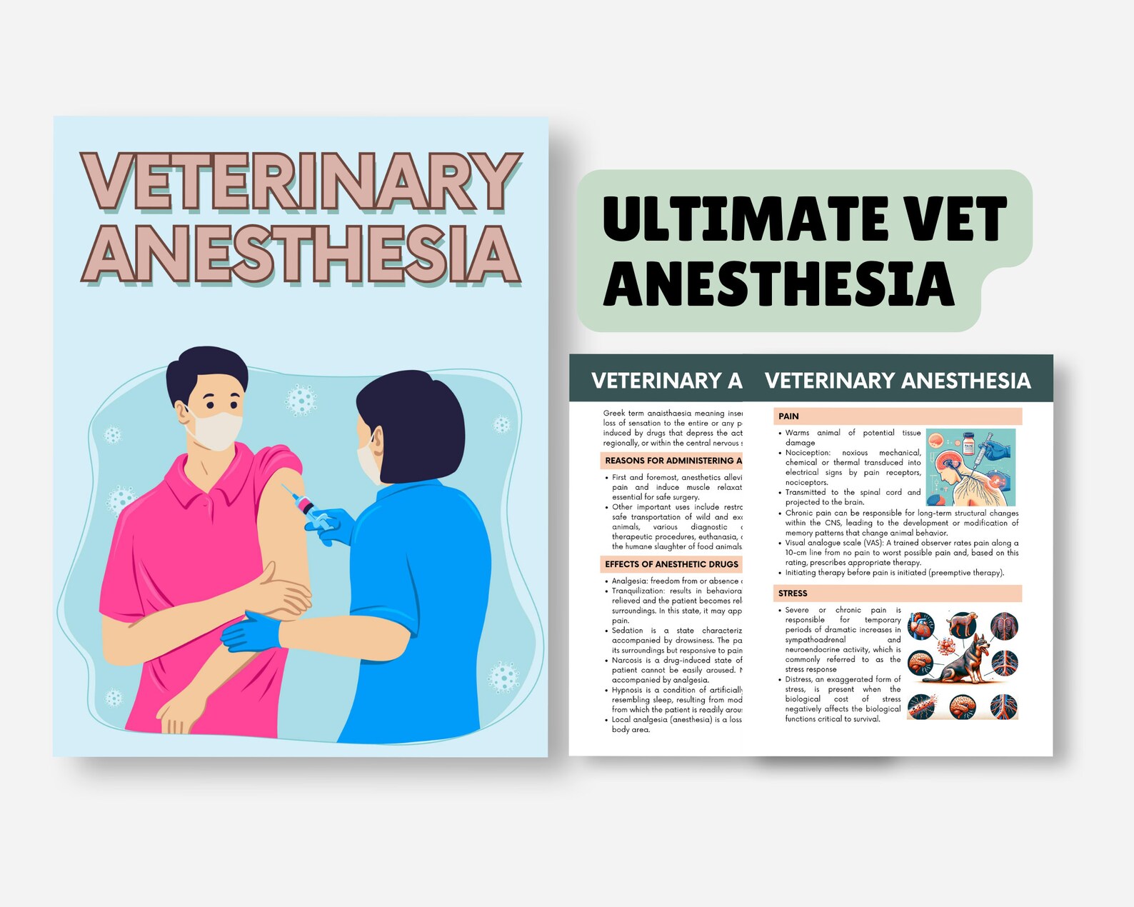 Veterinary Anesthesia Study Guide Vet Tech Notes Vet Nurse Anesthesia ...