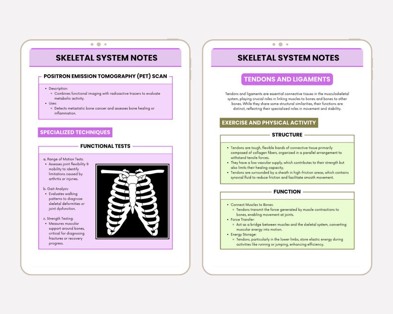 Skeletal System Notes 2025 Edition, 80+ Pages, Intro to Skeletal System ...