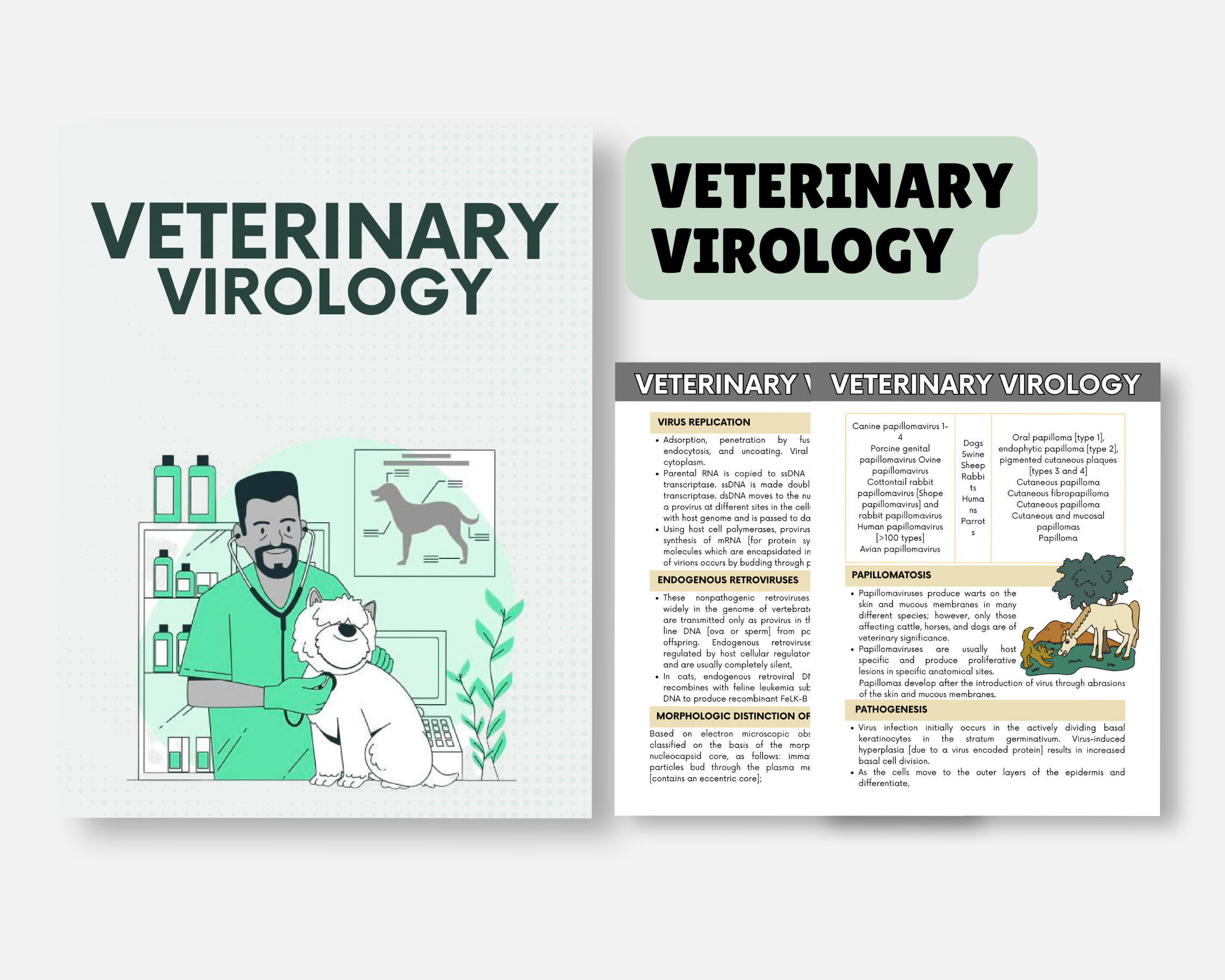 BEST SELLING 240 Pages Vet Tech Notes, Vet Med Study Guide, VTNE Prep ...
