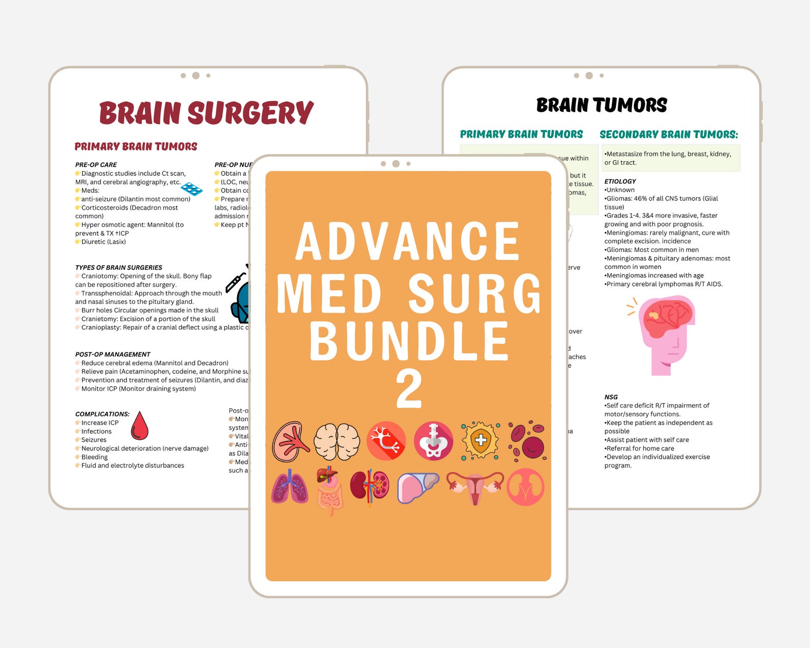 Med-surg II Study Bundle 2024, Nursing Study Guide, Med Surg Notes ...