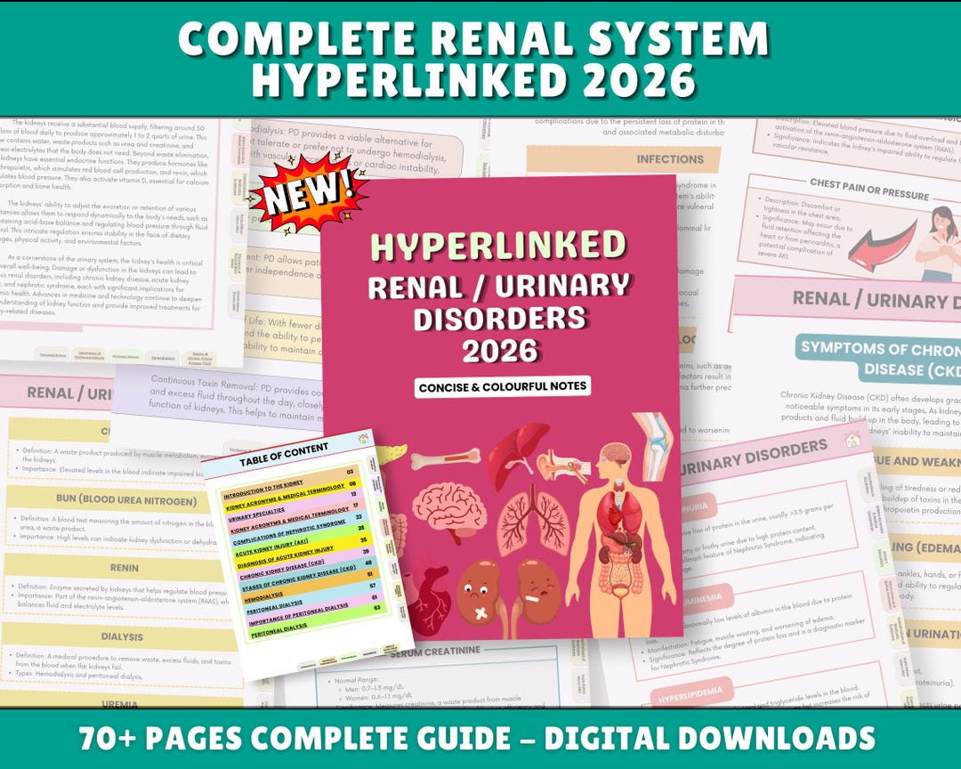 Renal & Urinary System Nursing Study Guide: AKI, CKD, Utis (PDF ...