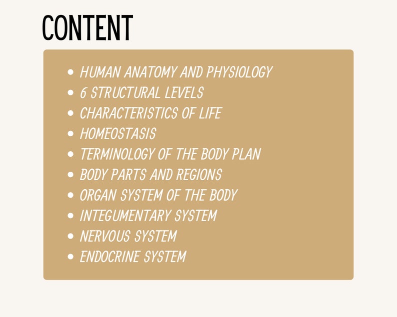 Anatomy and Physiology Nursing Anatomy Study Guide Anatomy - Etsy