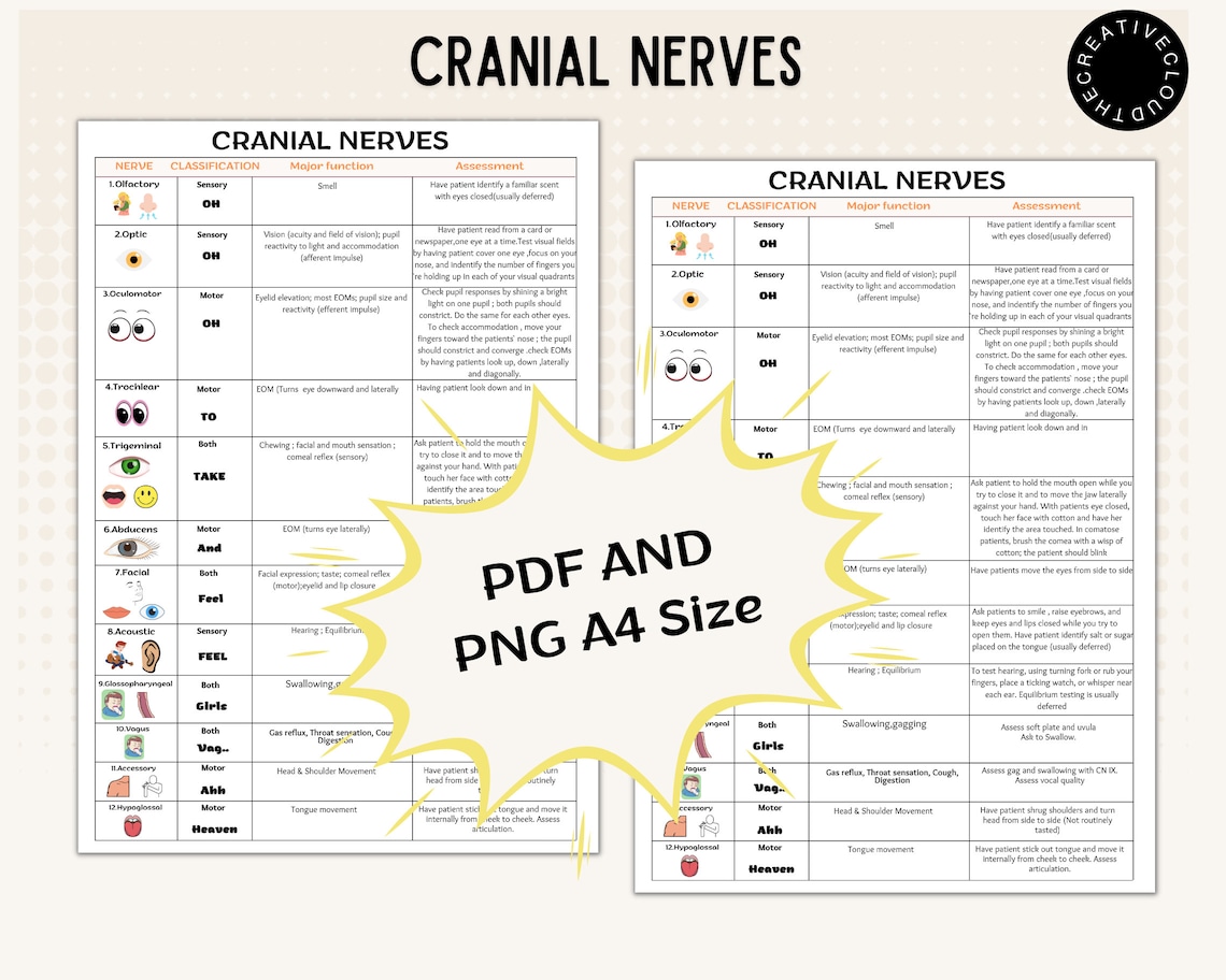 Cranial Nerves - Cranial Nerves Sheet - 12 Cranial Nerves - Nursing ...