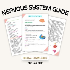 Nervous System Notes, Nursing Bundle, Nursing Notes, Med Surg Study ...