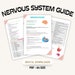 Nervous System Notes, Nursing Bundle, Nursing Notes, Med Surg Study ...