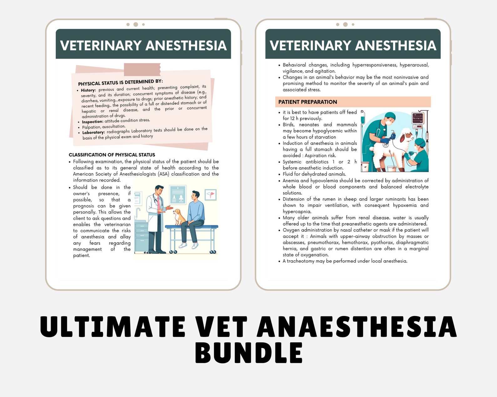 Veterinary Anesthesia Study Guide Vet Tech Notes Vet Nurse Anesthesia ...