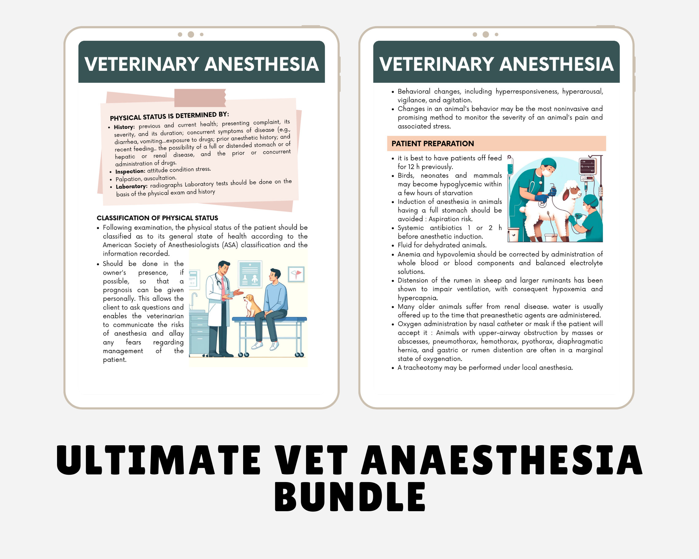 Veterinary Anesthesia Study Guide Vet Tech Notes Vet Nurse Anesthesia ...